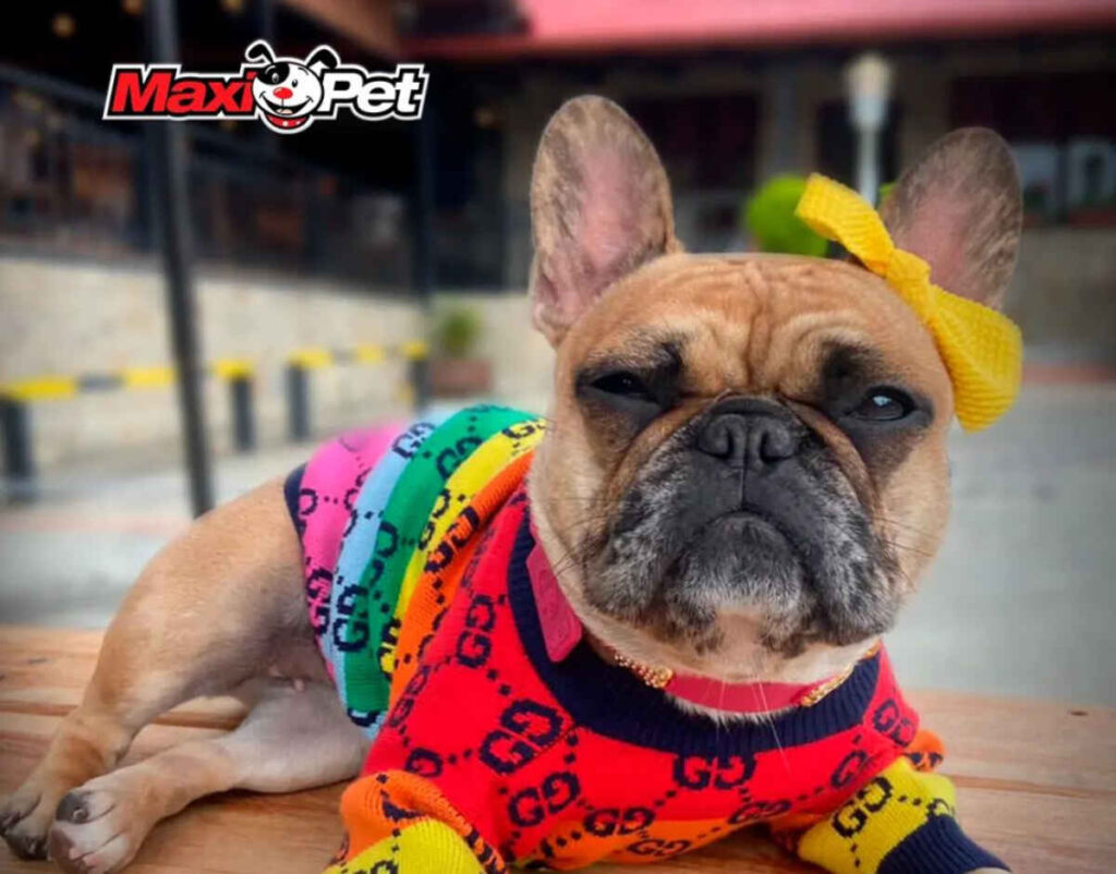 El lugar feliz de las mascotas: Maxipet abre nueva tienda en Caracas